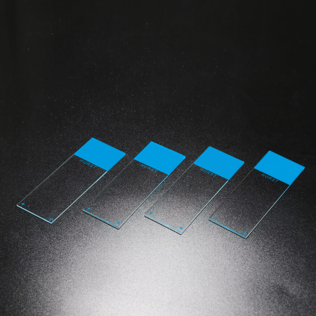 microscope slide colourfrost 90° ground edge. adhesive coated | Buy ...