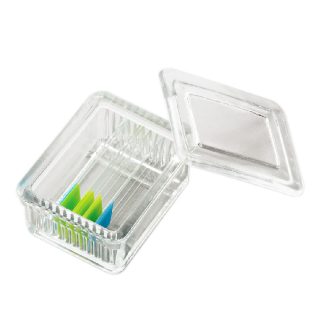 9-Place Glass Staining Jar with Glass Lid, Hellendhal type, Suitable ...