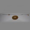 Spatulas & Spoons | Lab Equipment & Lab Supplies Online