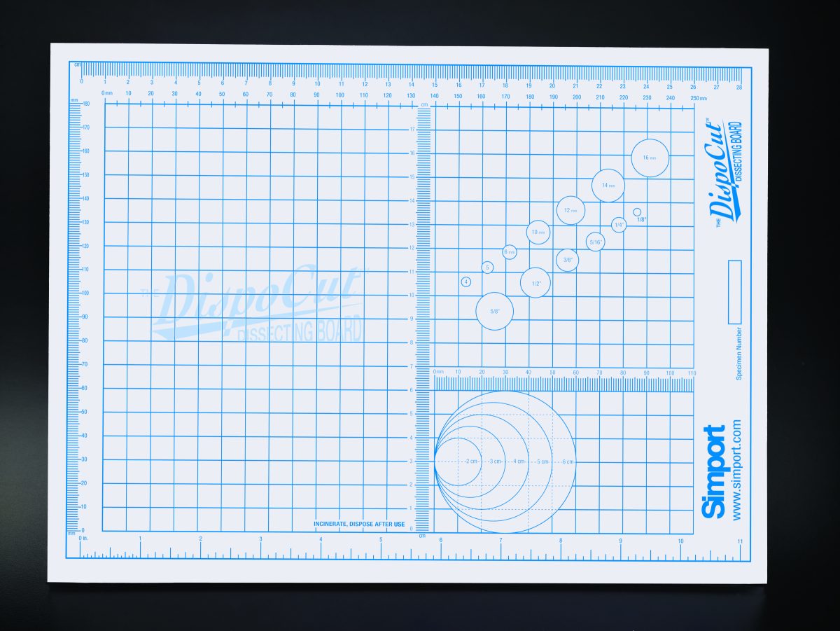 dispocut dissecting boards | Buy Online at Hurst Scientific