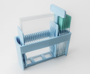 Anatomical Pathology | Lab Equipment & Lab Supplies Online